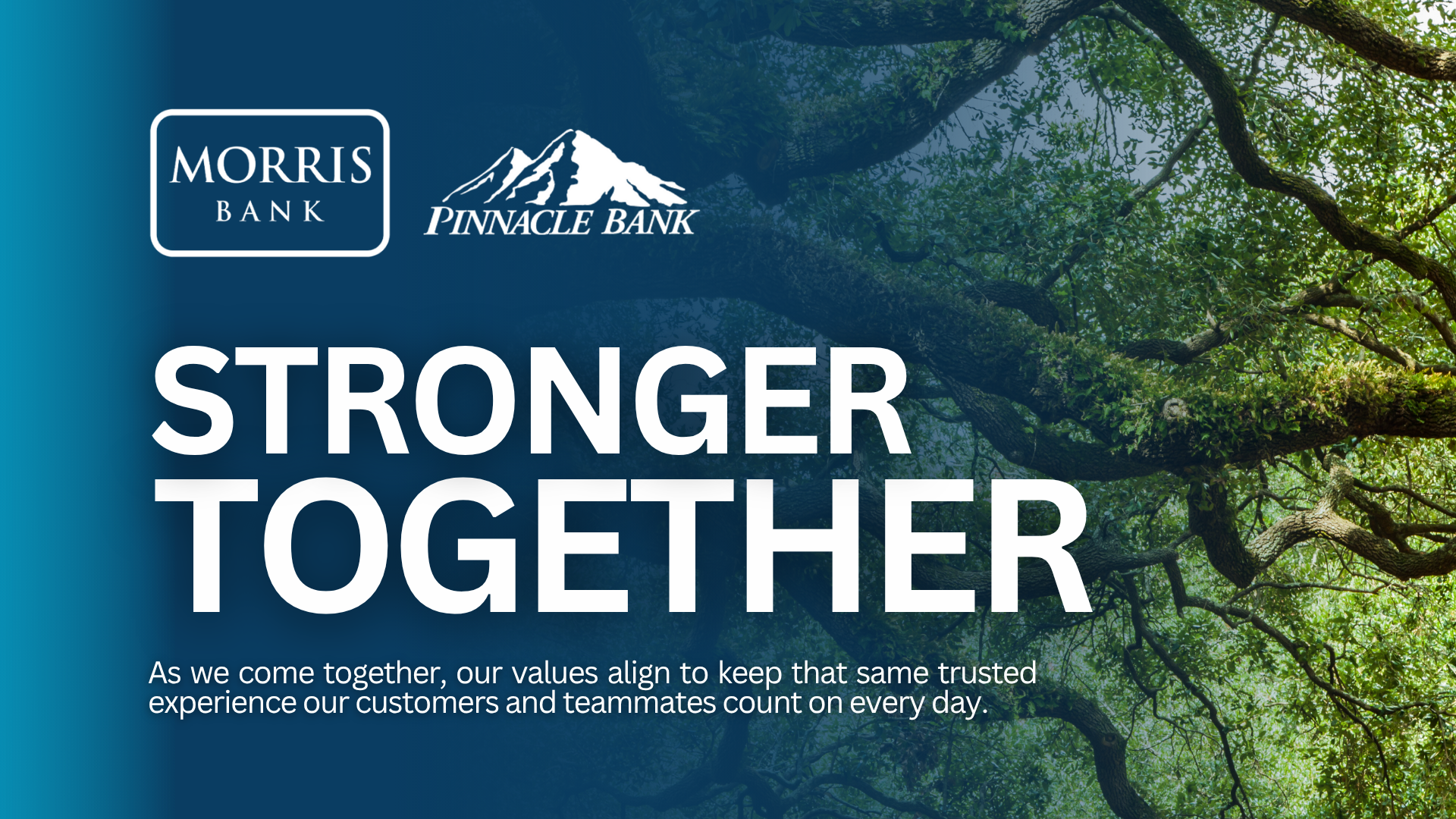 Pinnacle Financial Corporation and Morris State Bancshares Jointly ...